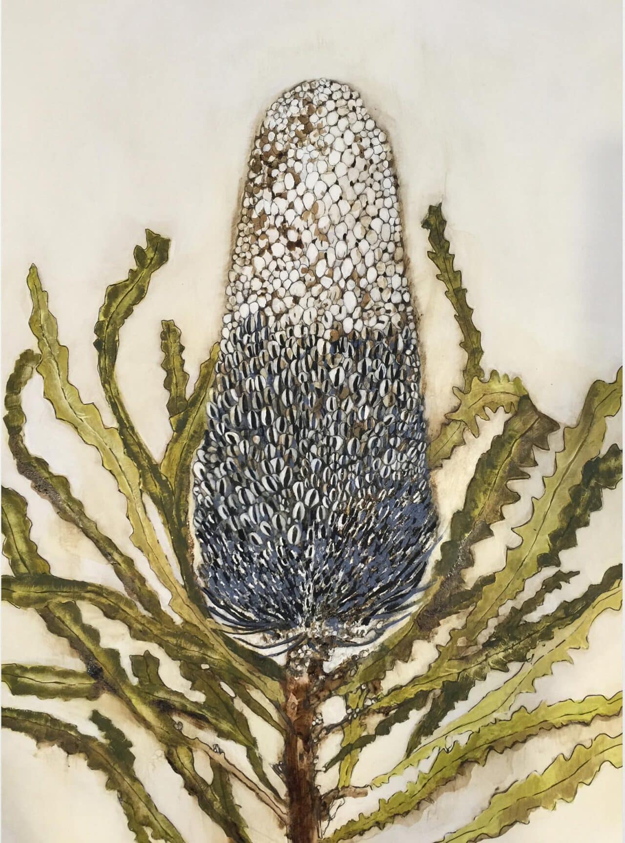 Indigo Native 1 | Alissa Wright